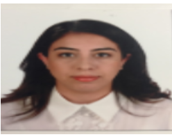 Türk Dili ve Edebiyatı